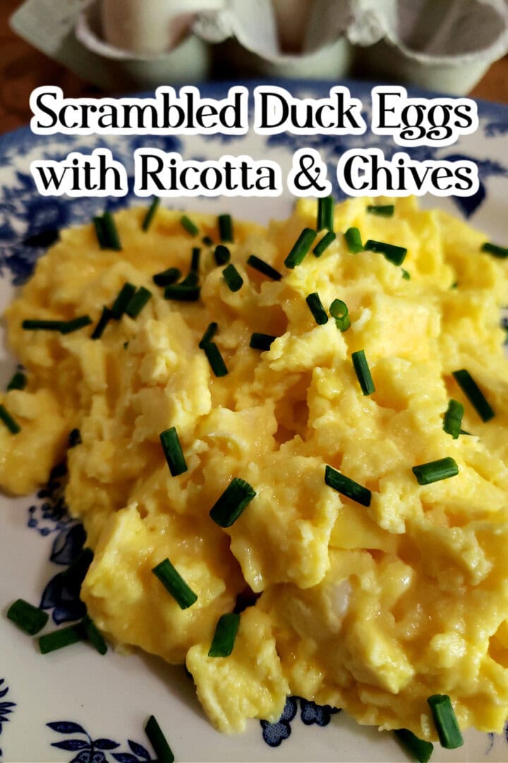 Scrambled Duck Eggs Recipe with Ricotta and Chives - Julias Simply Southern
